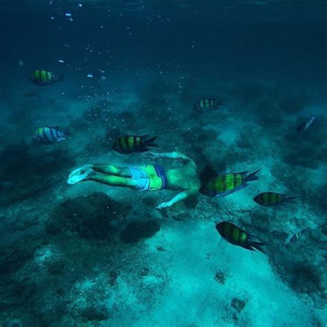 Rishabh Puri Officialrishabhpuri • Instagram Photos And Videos