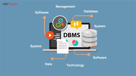 Cơ Sở Dữ Liệu Là Gì Phân Loại Cơ Sở Dữ Liệu
