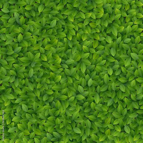 Green Leaves Texture Stock Vector Adobe Stock Green Leaves Texture Stock Vector Adobe Stock