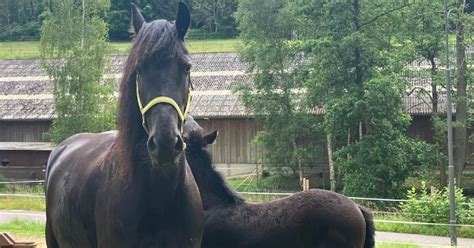 Susanna Chapman On Linkedin Are There Still Beautiful Things Python Scope Part 2