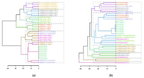 Dendrogram Showing Hierarchical Clustering Of A Fecal And B Plasma