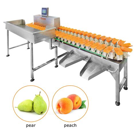 Tt Wsm 04 Grading Machinefruit Weight Sorting Machinefruit Blueberry