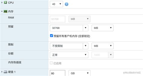 R730直通tesla P40显卡 Esxi安装nvidia P40 Csdn博客