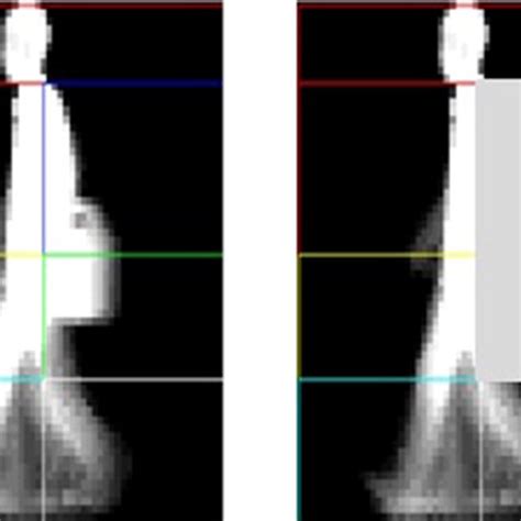 Partial Radial Distribution Functions Prdfs And Generalized Radial Download Scientific