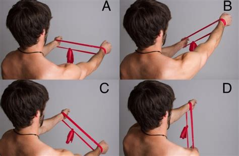 24 Best Exercises For Scapula Protraction And Retraction Mobile