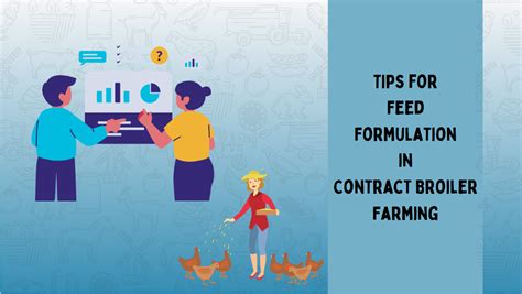 Feed Formula Counselling For Contract Broiler Farming Success