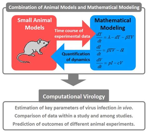 Animal Systems Modeling Research at Imogen Parry-okeden blog