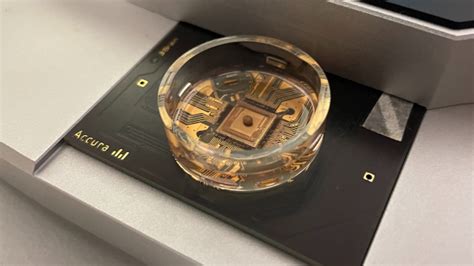 Exploring The Intersection Of Neuronal Cultures Robotics And Ai External Links Engineering