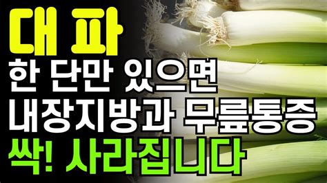 대파 이것과 먹으면 몸속 기름 쫙 빠져요특급 요리법과 대파와 함께 먹으면 보약되는 음식4가지 무릎통증과 내장지방 싹 없애려면 이렇게 드세요 Youtube