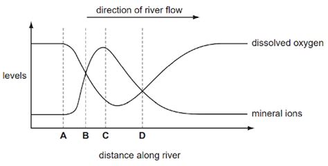 Dissolved Oxygen Graph