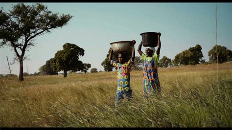 The Forest Maker The Ngo International Film And Knowledge Forum