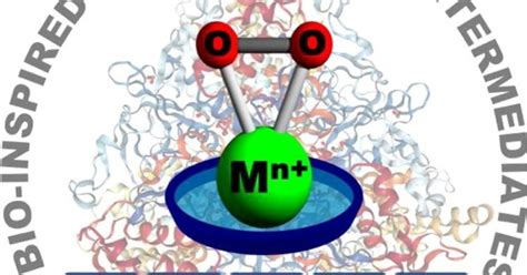 Unist 생체 금속효소 반응 중간체 금속 퍼옥소 연구 집대성