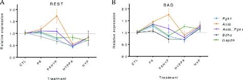 Evaluation Of The Impact Of Selection Of Rg On Gene Expression