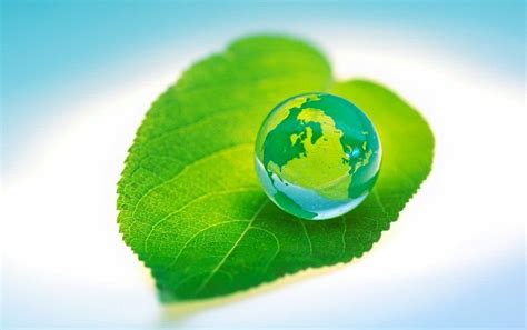 Зеленая экономика картинки для презентации 86 фото