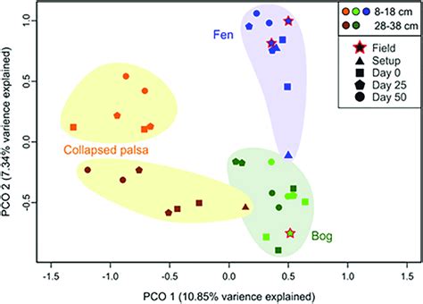 Ordination And Metabolic Pathways For Picrust Predicted Microbial