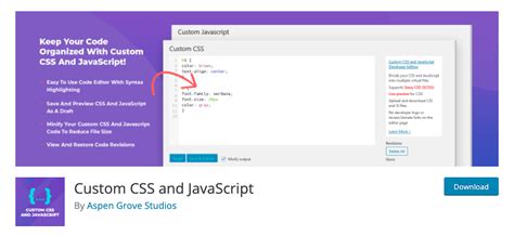 How To Add Custom CSS And JavaScript To Divi Websites