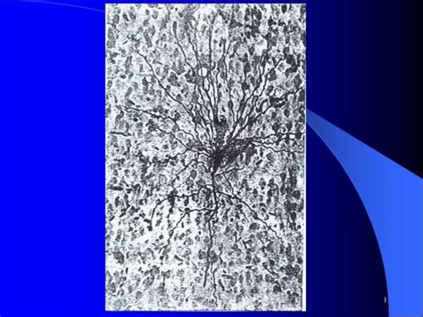 Lecture9april2020time1155amto1250pmneuralnetworkpptpptx