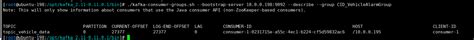 查询kafka信息，并设置kafka的偏移量offset kafka查看消费offset csdn博客