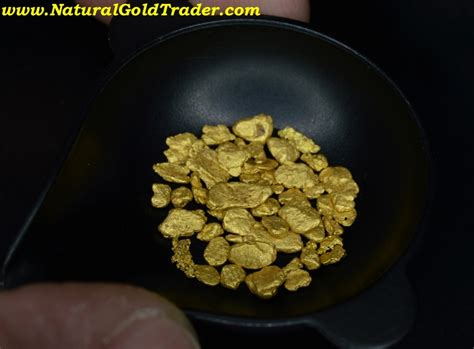 3 54 Gms Feather River California Gold Pickers