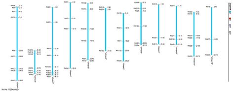 Chromosomal Location Of The Polymorphic Markers Used For Genotyping In