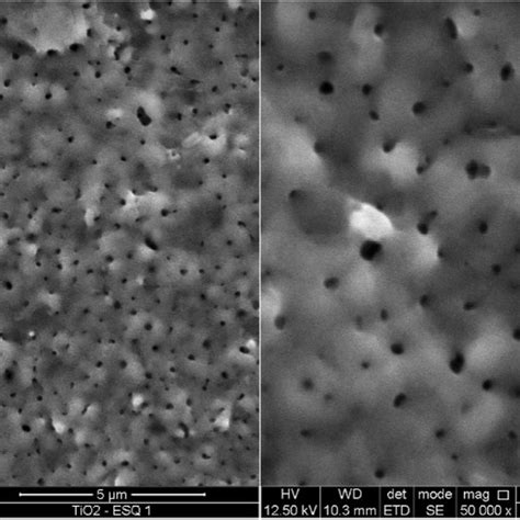 Sem Micrographs Of S Tio2 Coating On Ti Substrate The Sample Was Grown Download Scientific