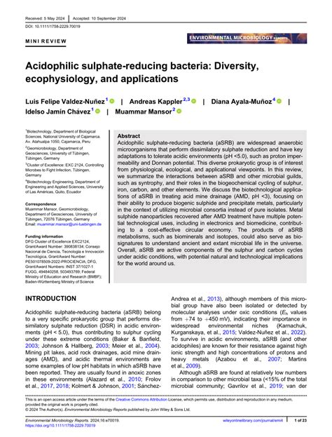 Pdf Acidophilic Sulphate‐reducing Bacteria Diversity Ecophysiology And Applications