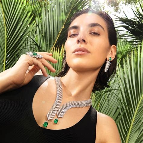 무슈 프레드아이디얼 라이트