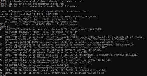Netopeer2 Server Segmentation Fault · Issue 572 · Cesnetnetopeer2