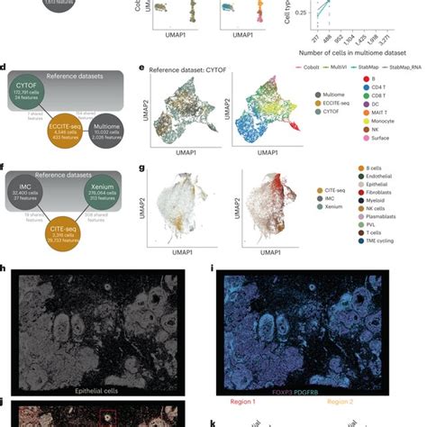 Mosaic Data Integration Simulations Using Pbmc Multiome And Mouse