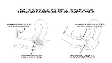X Ray Tutorial Porn Comic English The Hentai