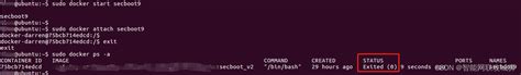 linux下docker的常用命令 sudo docker ps a csdn博客