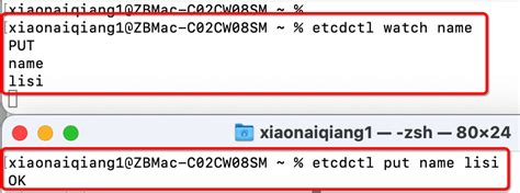 01etcd安装使用 不做大哥好多年