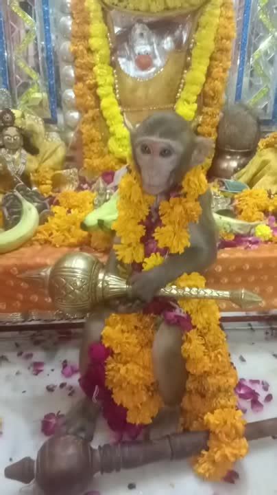 Umesh Kumar On Linkedin जय श्री राम शुभ प्रभात मित्रों