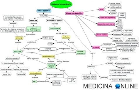 Immunità Innata Aspecifica Neutrofili Macrofagi E Linfociti Natural