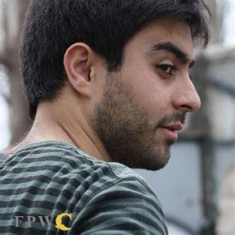 tigran soghomonyan on codepen