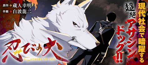 High Quality Hentais Like Shoujo Ramune Non Loli Preferred Forums Myanimelist Net