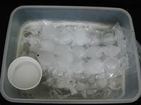 호기심 과학 직접 만든 얼음보다 편의점 얼음이 더 천천히 녹는다 더 단단하고 오래가는 얼음에 담긴 과학 원리