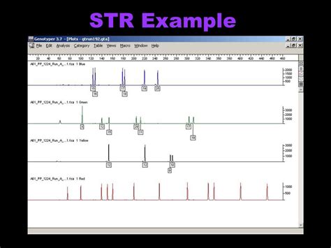 Chapter 11 Dna Analysis “the Capacity To Blunder Slightly Is The Ppt Download