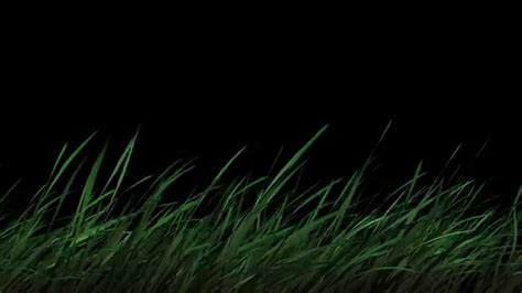 Animated Grass Hd Video Youtube