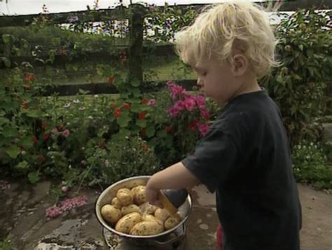 Neds Potatoes Teletubbies The Community Wiki