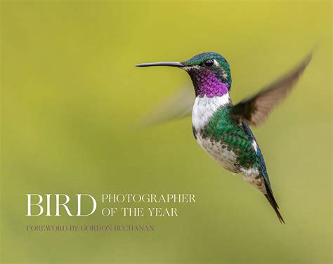 Bird Photographer Of The Year International Wildlife Photography