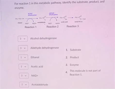 Solved For Reaction 1 In This Metabolic Pathway Identify