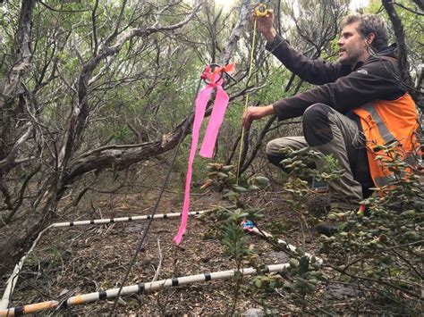 Natural Forest Inventory Vfmp Interpine Innovation