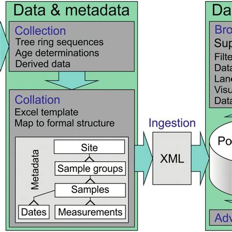 Simplified Structure Of The Database How Data Are Entered And Made