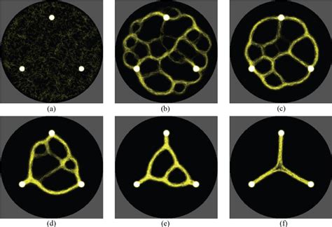 figure 5 from permeability of terrain in particle based models of