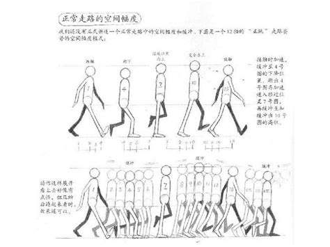 人物运动规律走路分解图的搜索结果 百度图片搜索