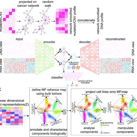 Joint Optimisation Of The Reconstruction Loss The Kl Divergence