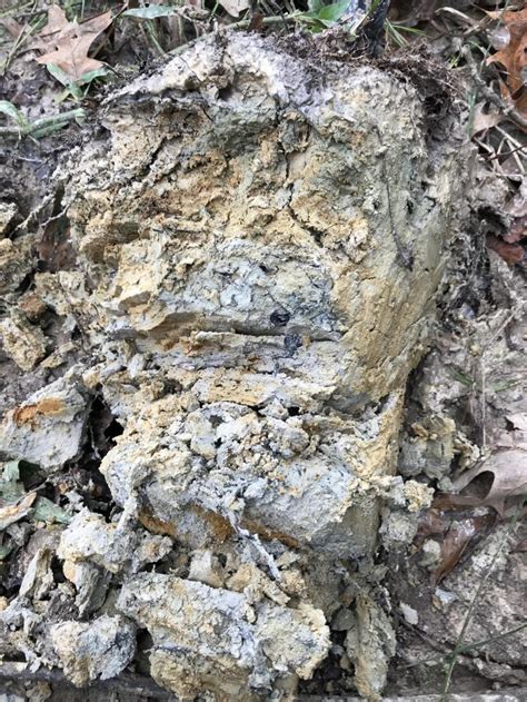 Lord And Winter On Linkedin Identifying Hydric Or “wetland” Soils Is A