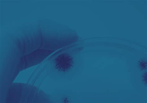 Capabilities Agile Biofoundry