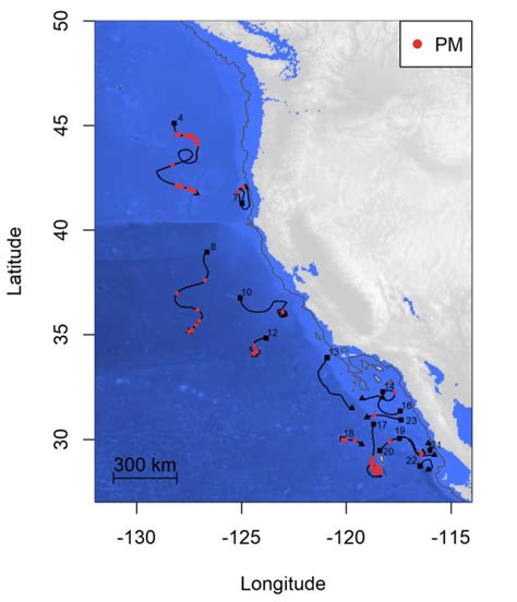 Acoustic Detections Of Sperm Whale Pm Echolocation Clicks Along